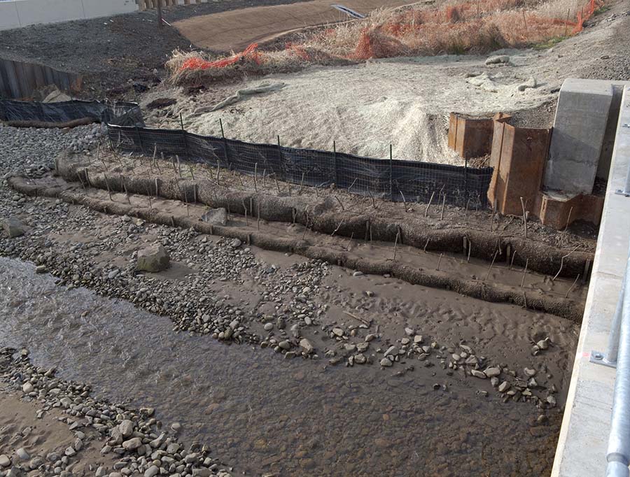 Exploring the Diversity of Silt Fences: Materials, Designs, and ...